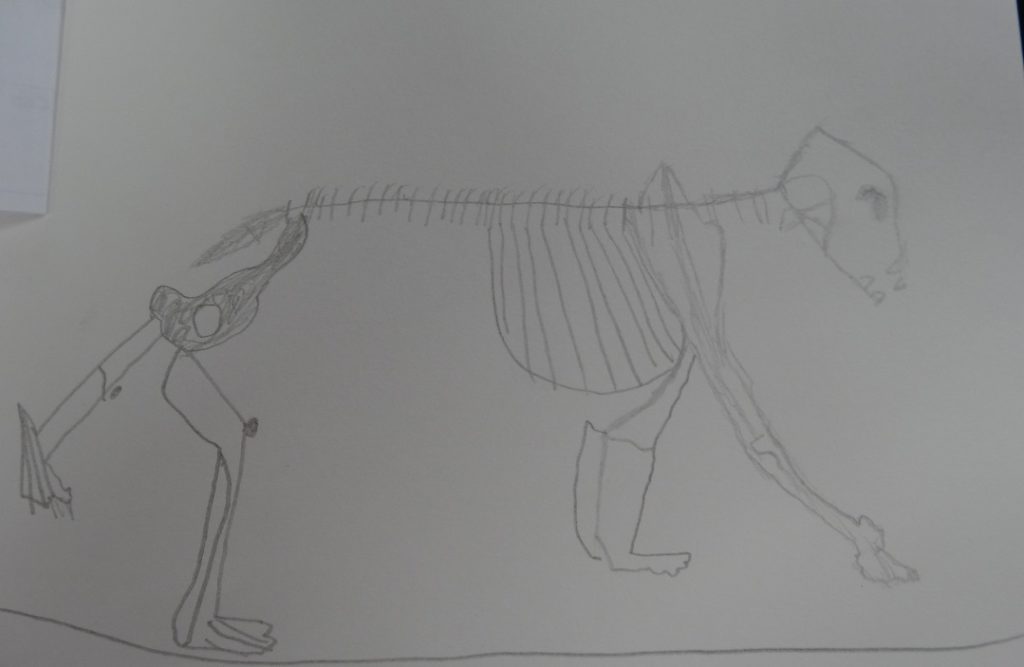 Year 3 Hippos Art: Fossils | Art